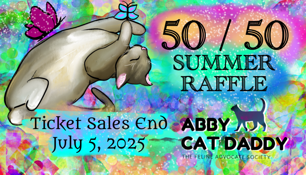 Help Cats in Need & Win Big! 50/50 Raffle | The Abby Cat Daddy